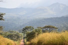 Mount Nimba Strict Nature Reserve | | Alluring World