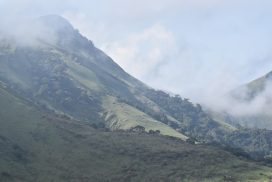Mount Nimba Strict Nature Reserve | | Alluring World