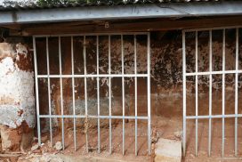 Pythons Temple | | Alluring World