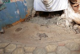 Pythons Temple | | Alluring World