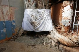 Pythons Temple | | Alluring World