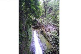 Syndicate Falls | | Alluring World