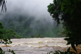 Ekom Nkam Waterfalls | | Alluring World