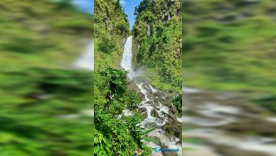 Trafalgar Falls | | Alluring World